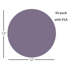 ÅngströmLap Silicon Carbide Lapping Film Disc - 12" 16 Micron, PSA