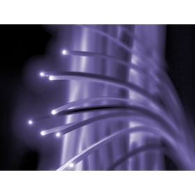 Rip-Tie CableCatch 1" x 12" (2-Pack)